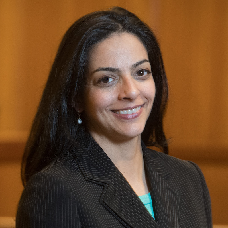 Northeastern Law Welcomes Outstanding Faculty - Northeastern Law
